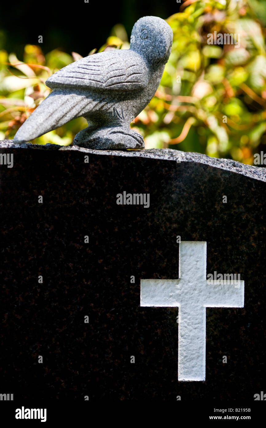 Dove of peace on top of black gravestone Stock Photo - Alamy