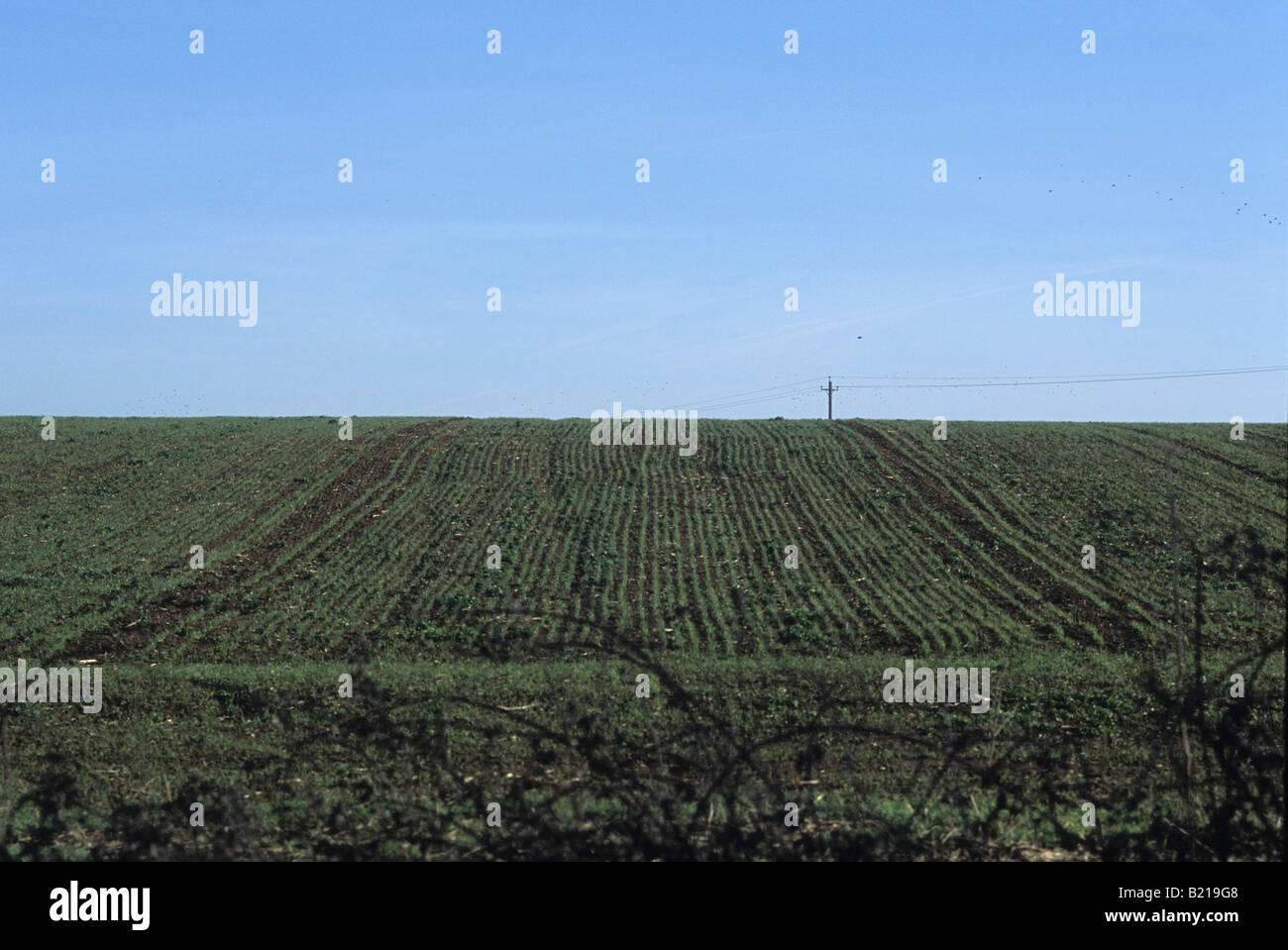 Stark agricultural landscape of British midlands Stock Photo - Alamy