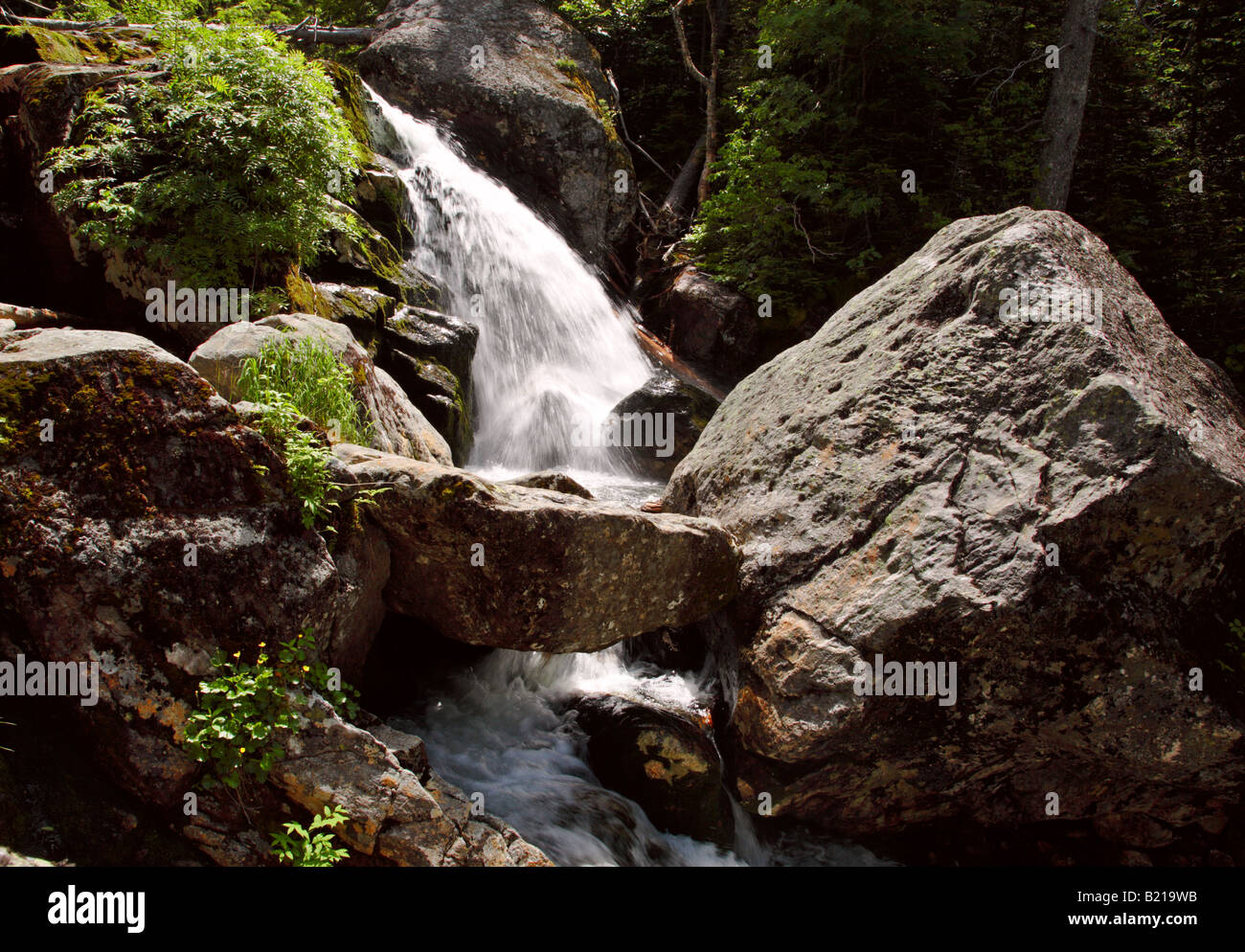 Great Gulf Wilderness....White Mountains New Hampshire USA Stock Photo ...
