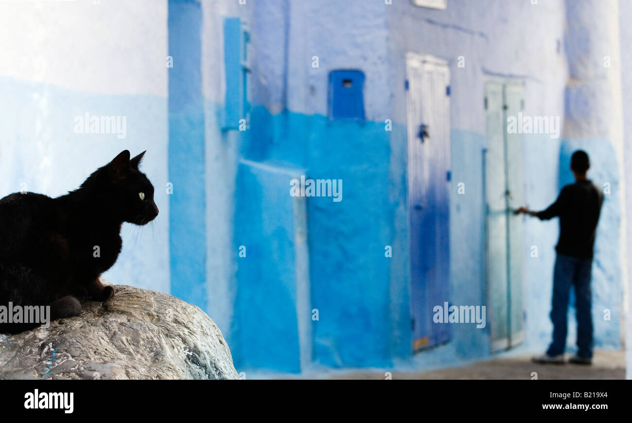 Alley cat hi-res stock photography and images - Alamy