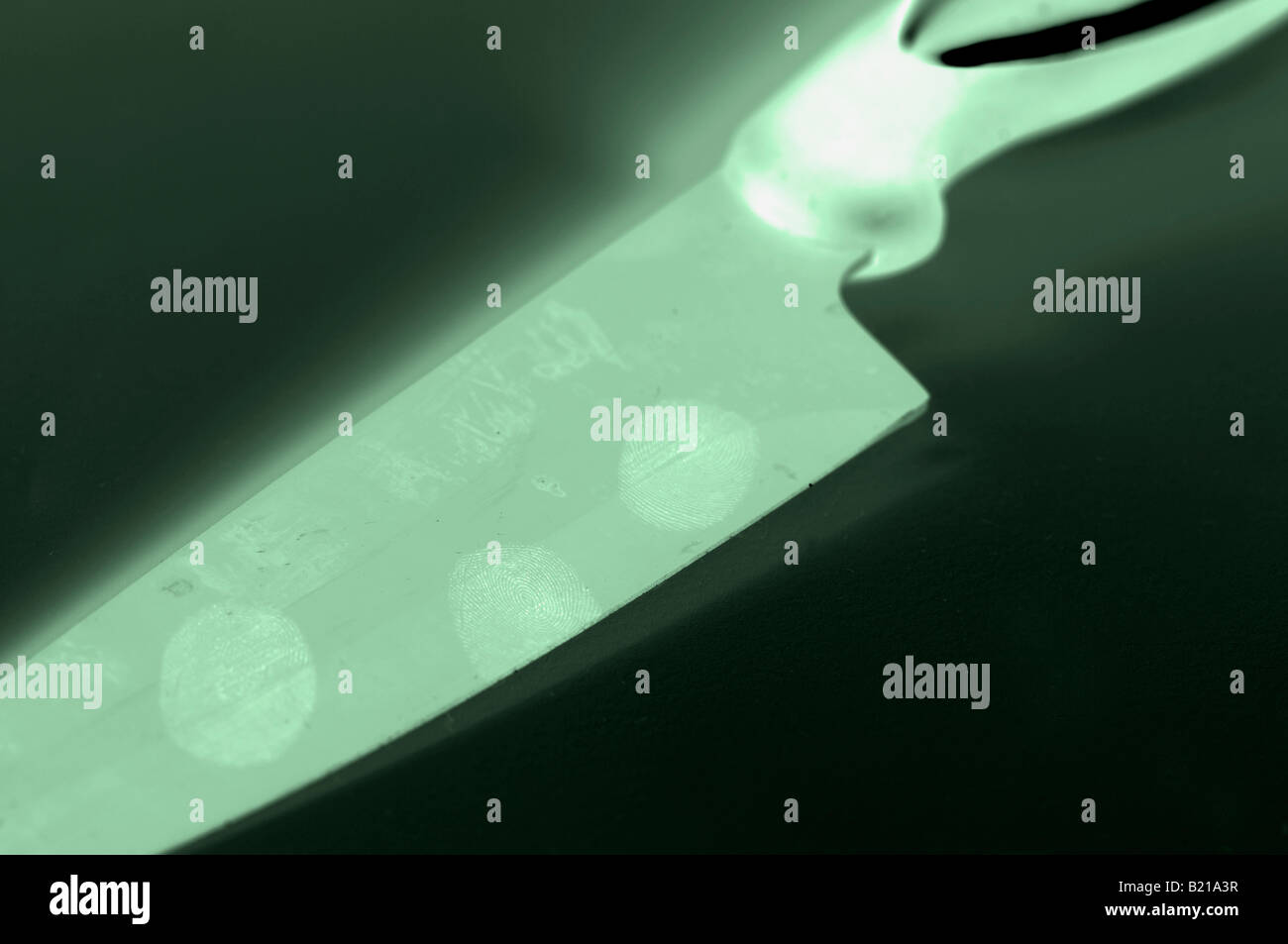 a household knife that has been forensic tested for fingerprints Stock ...