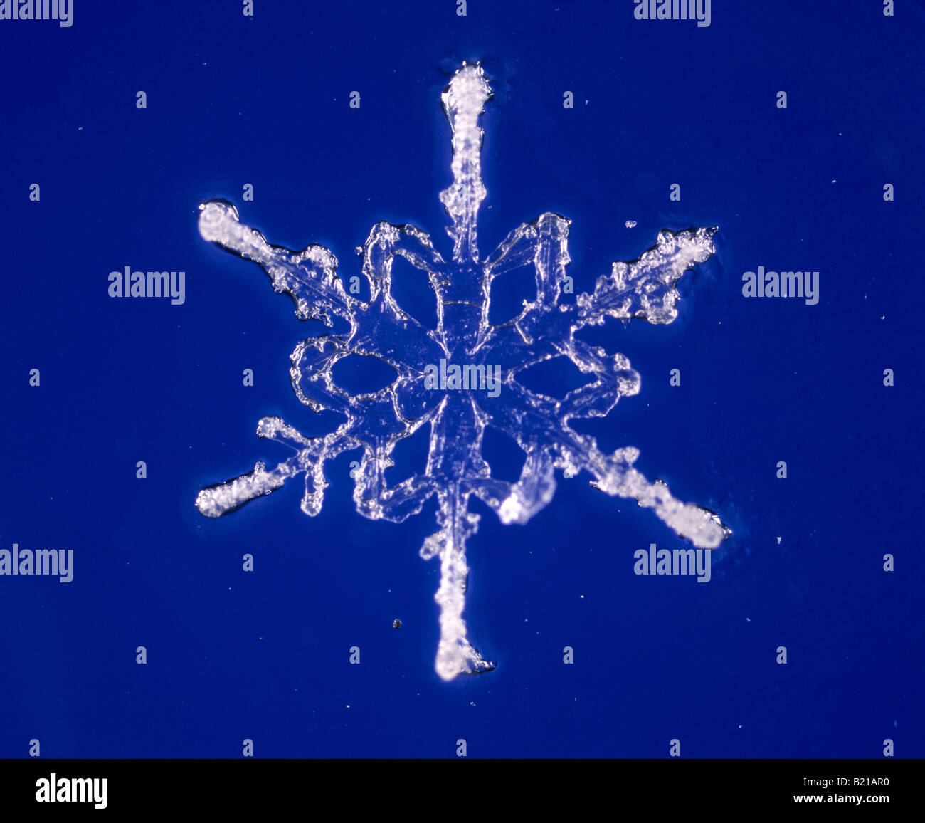 Dendrite Micrograph High Resolution Stock Photography and Images - Alamy