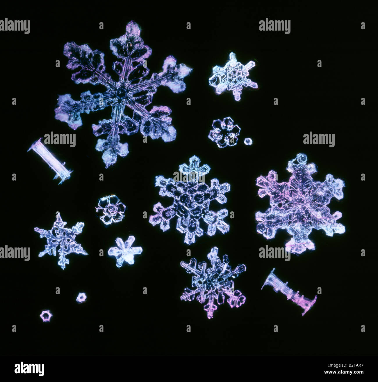 Stellar dendrites hi-res stock photography and images - Alamy