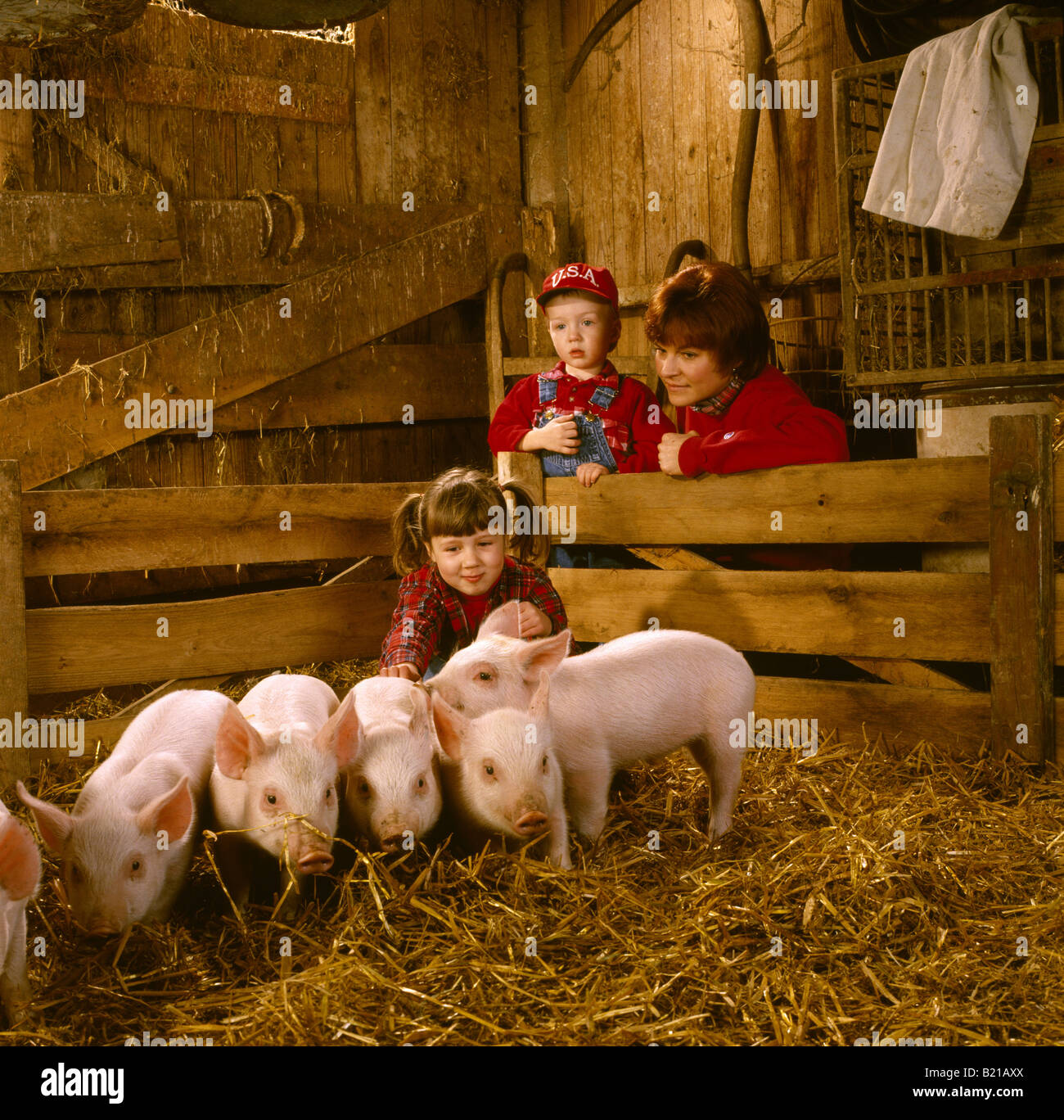 MOTHER AND CHILDREN WITH 5 WEEK OLD PIGS STUDIO Stock Photo - Alamy