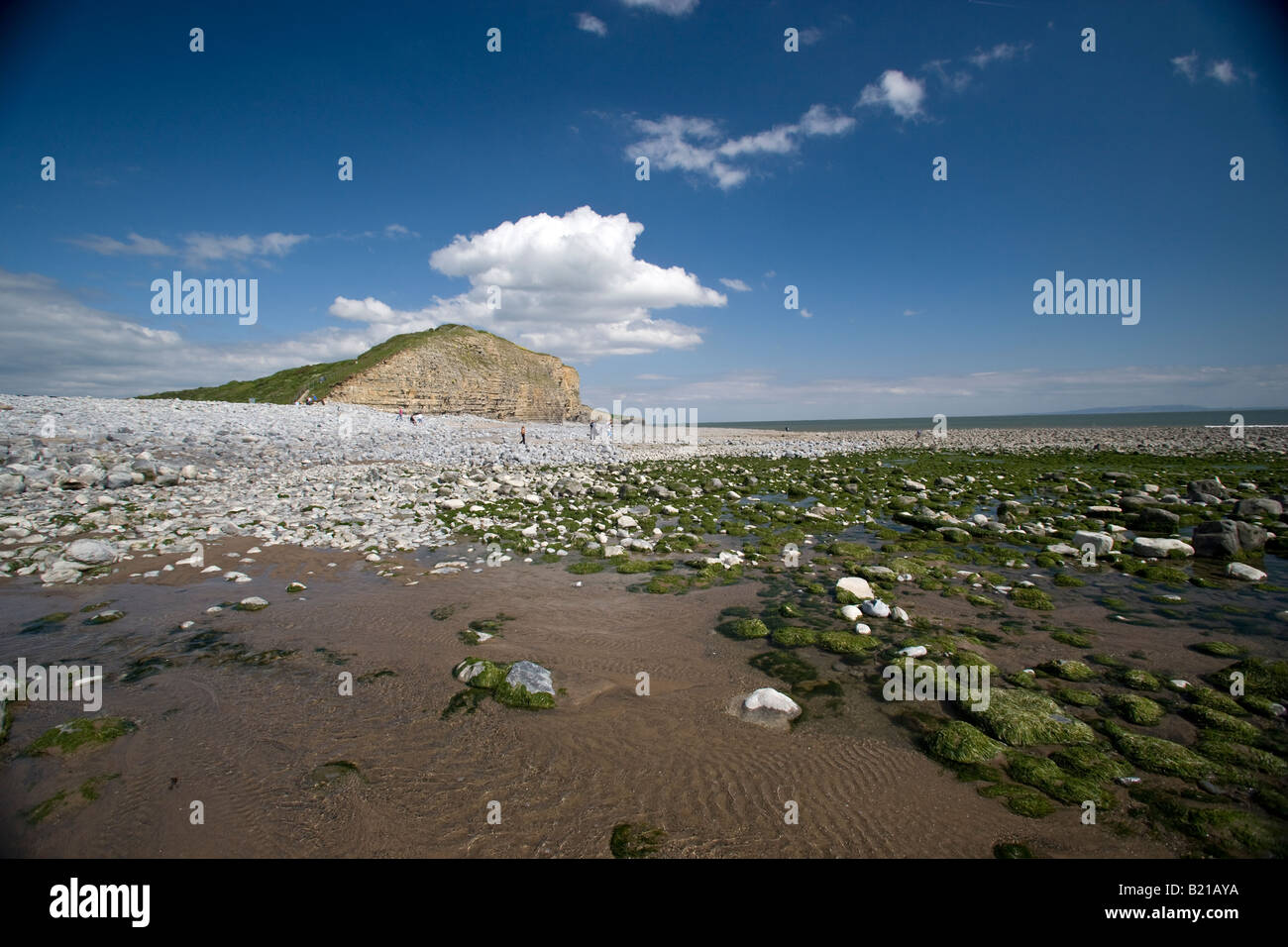 Glamorgan heritage coast llantwit major hi-res stock photography and ...