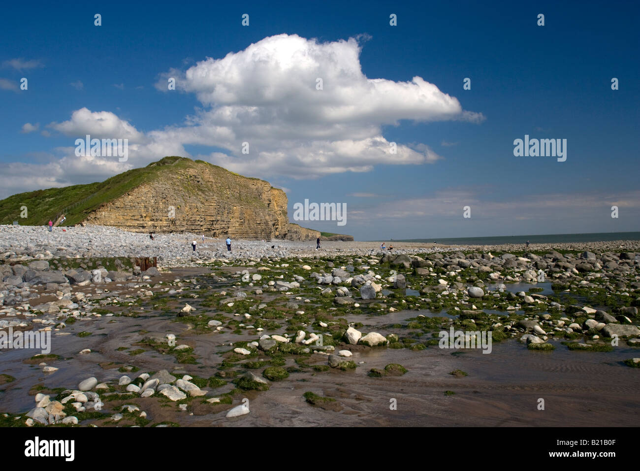 Llantwit major cliffs hi-res stock photography and images - Alamy