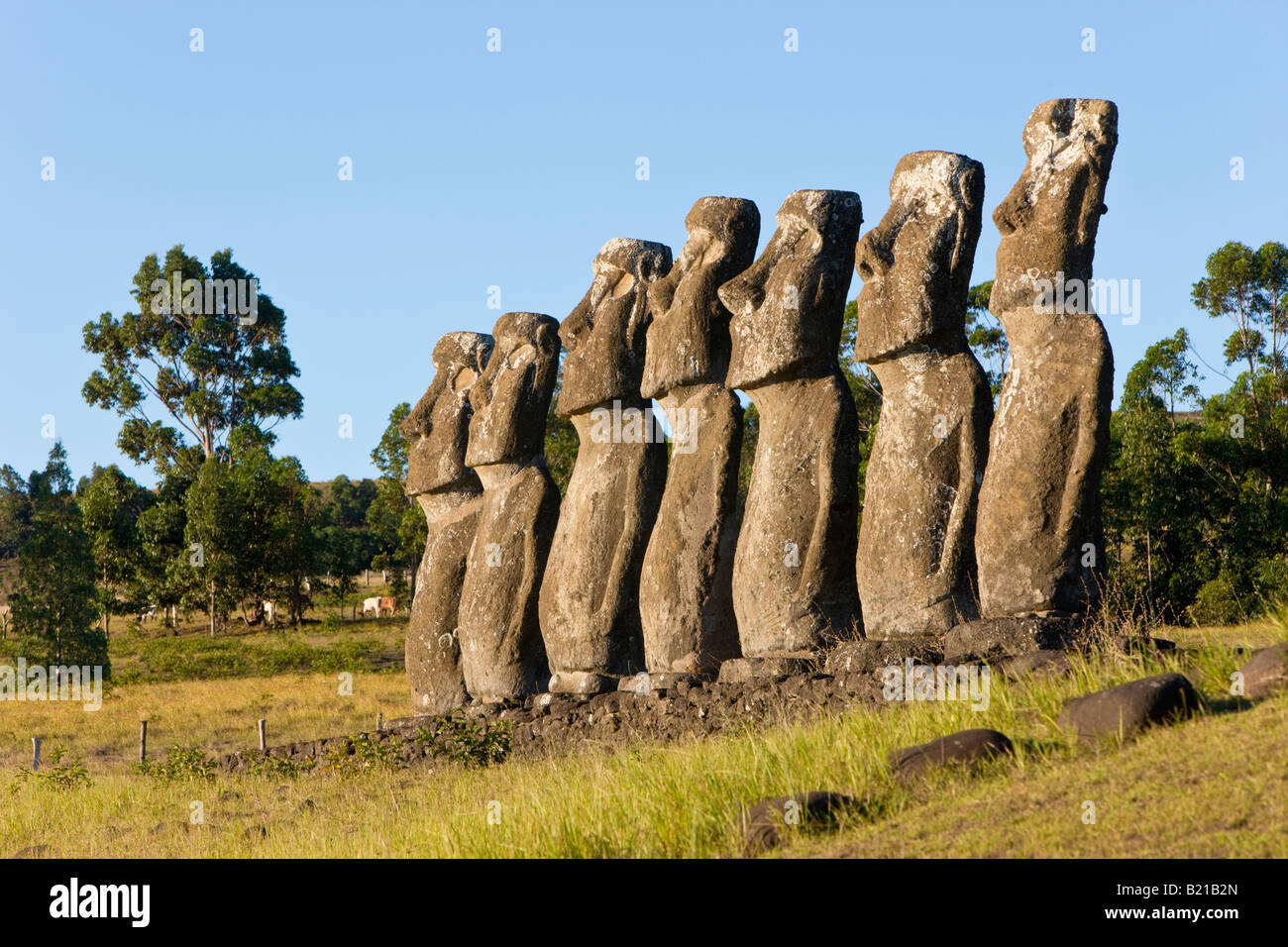Giant monolithic stone moai statues hi-res stock photography and images ...