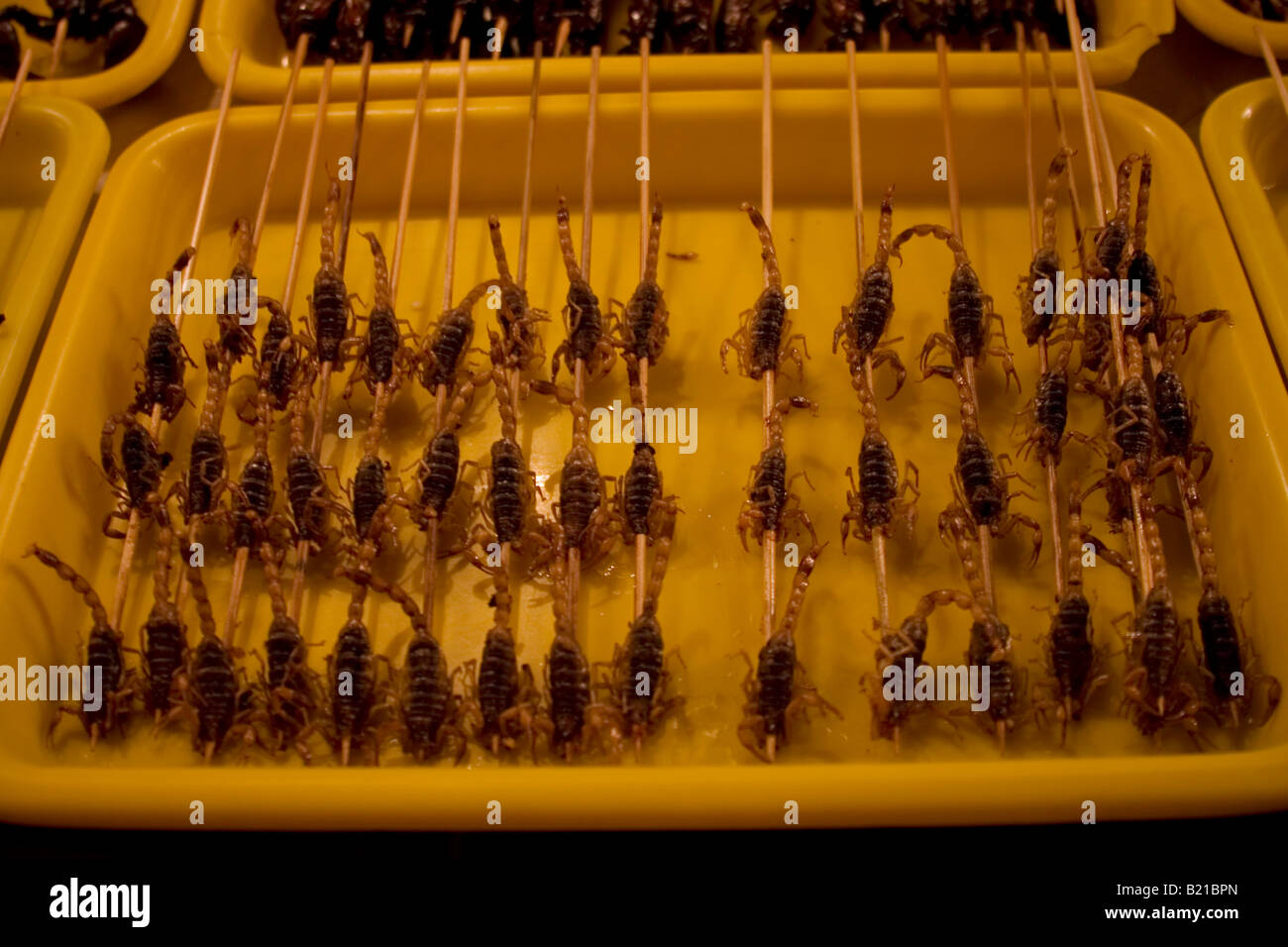 insects ready to cook Stock Photo - Alamy