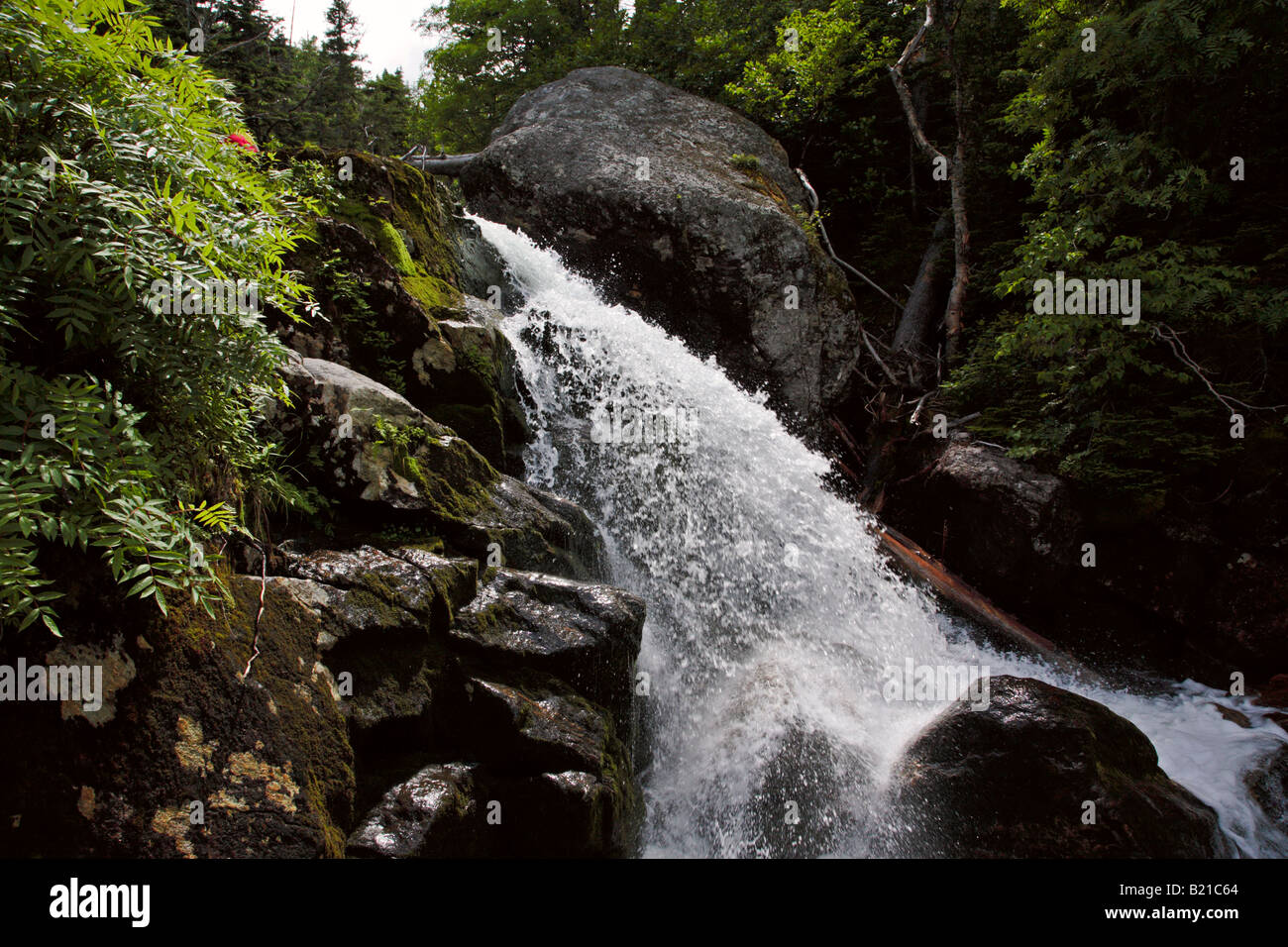 Great Gulf Wilderness....White Mountains New Hampshire USA Stock Photo ...