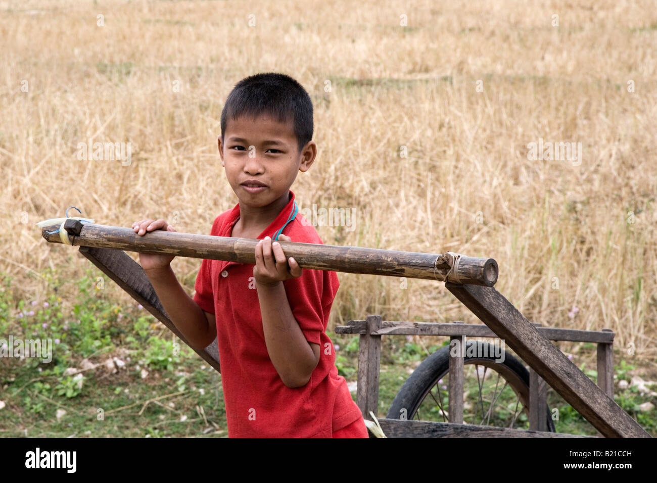 Lao boy pushes handtruck by rice field, southern Laos Stock Photo - Alamy