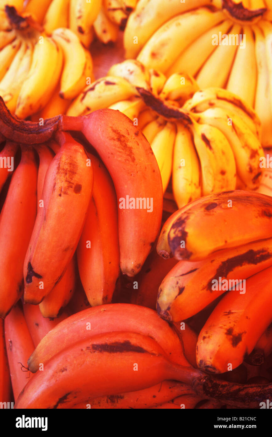 Food varieties of bananas hi-res stock photography and images - Alamy