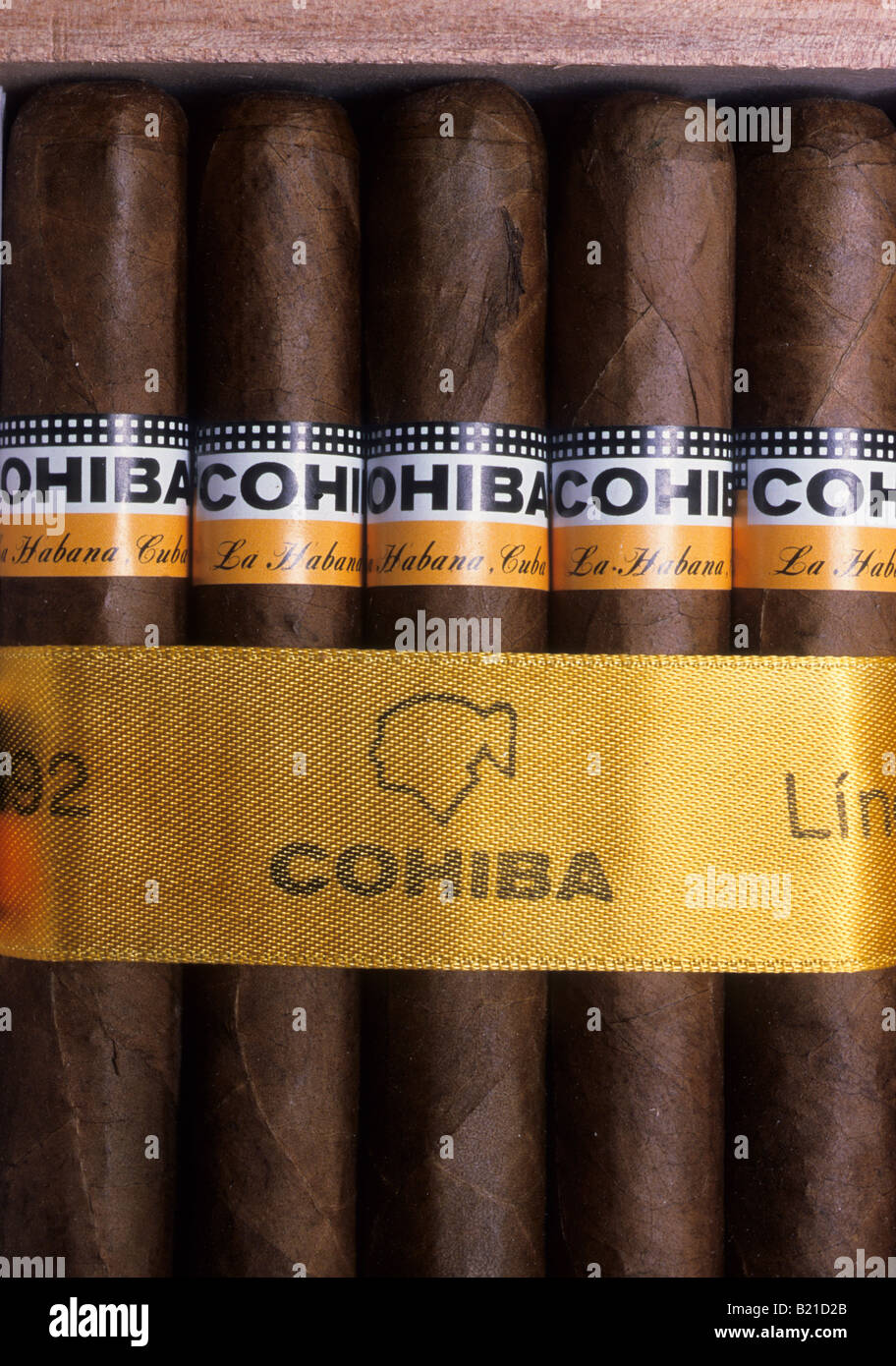 World famous Cuban cigars are displayed in a box in Havana Cuba Stock ...