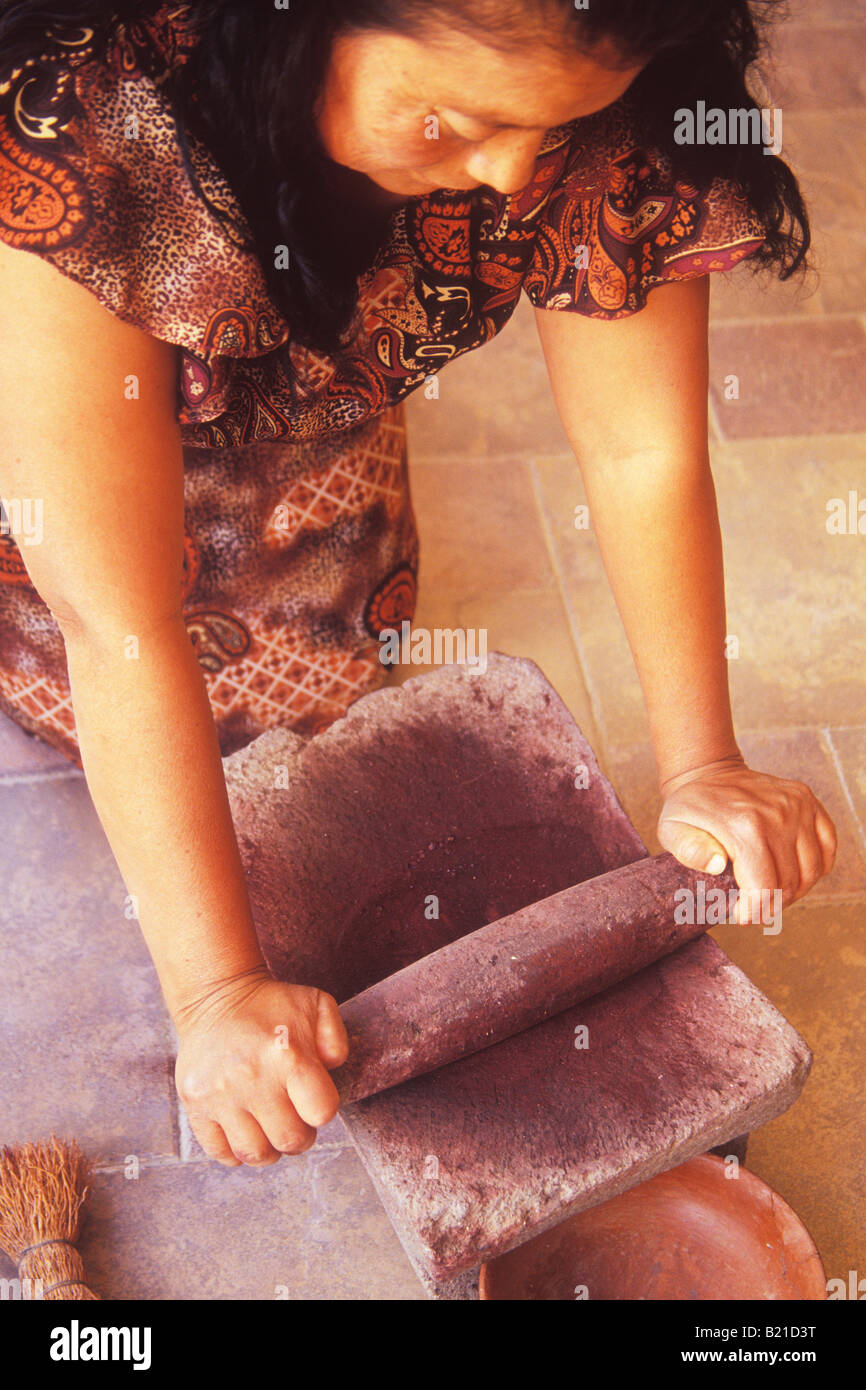 Female Cochineal Insects High Resolution Stock Photography and Images ...