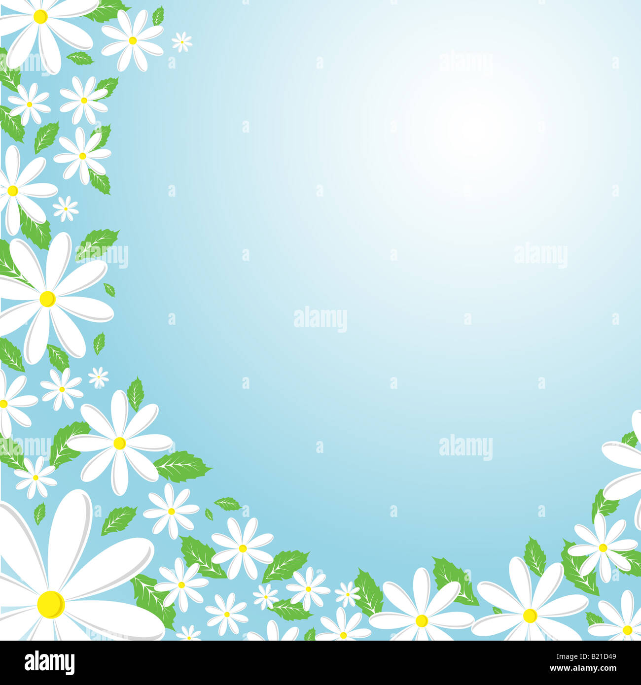 Daisy daisies illustration nature hi-res stock photography and images ...