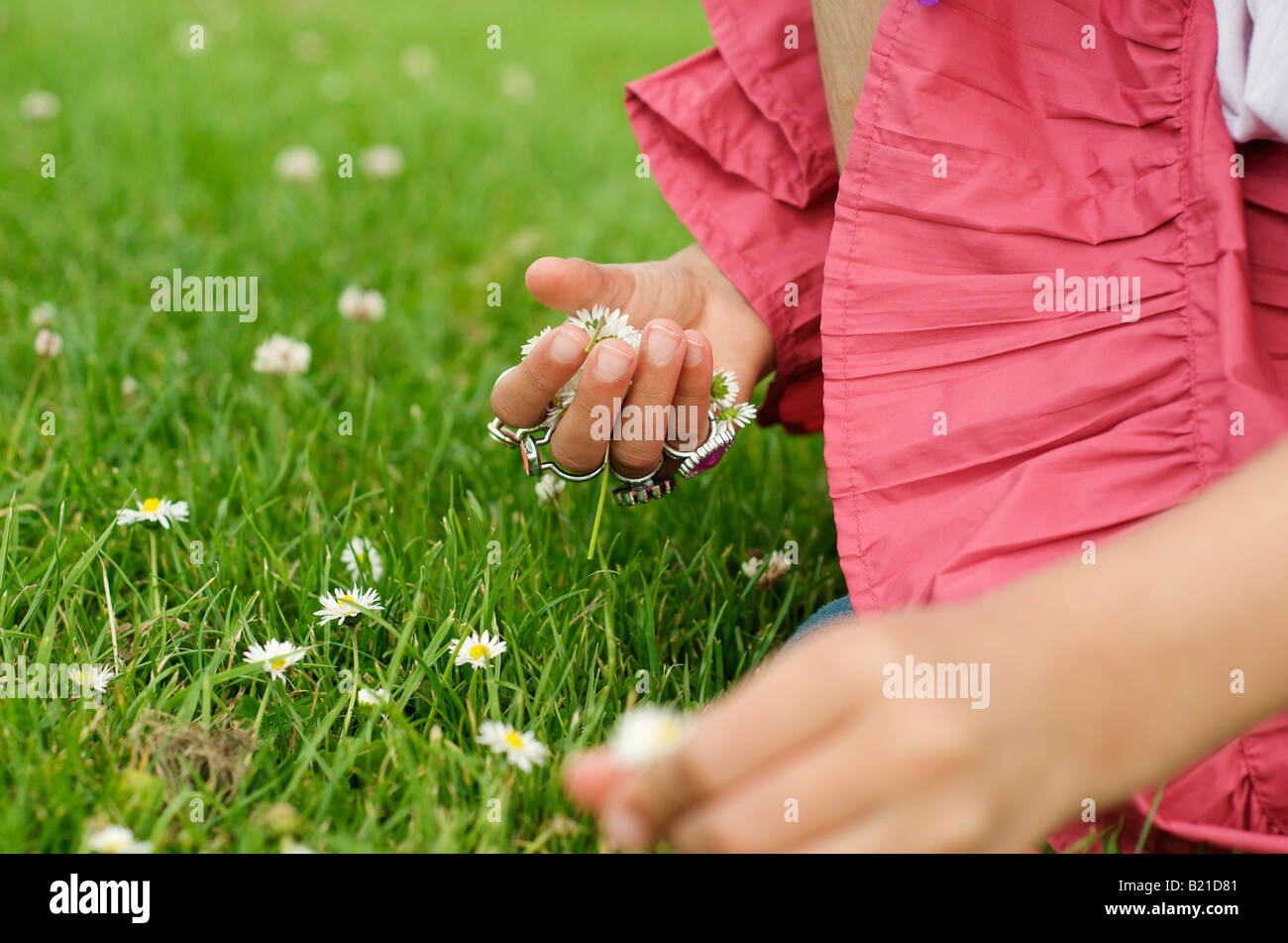 Child picking daisies Stock Photo - Alamy