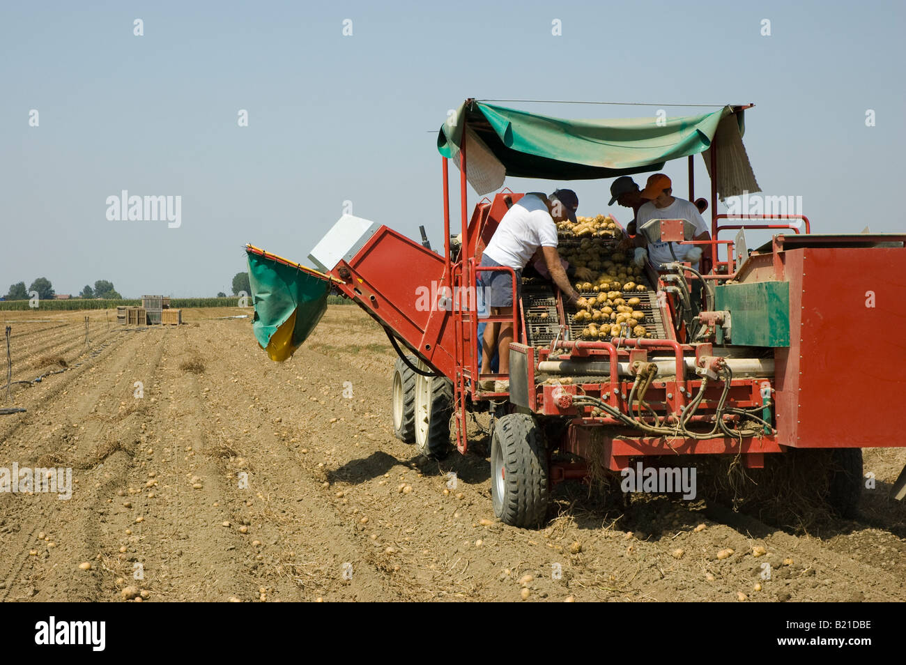 Potato picker hi-res stock photography and images - Alamy