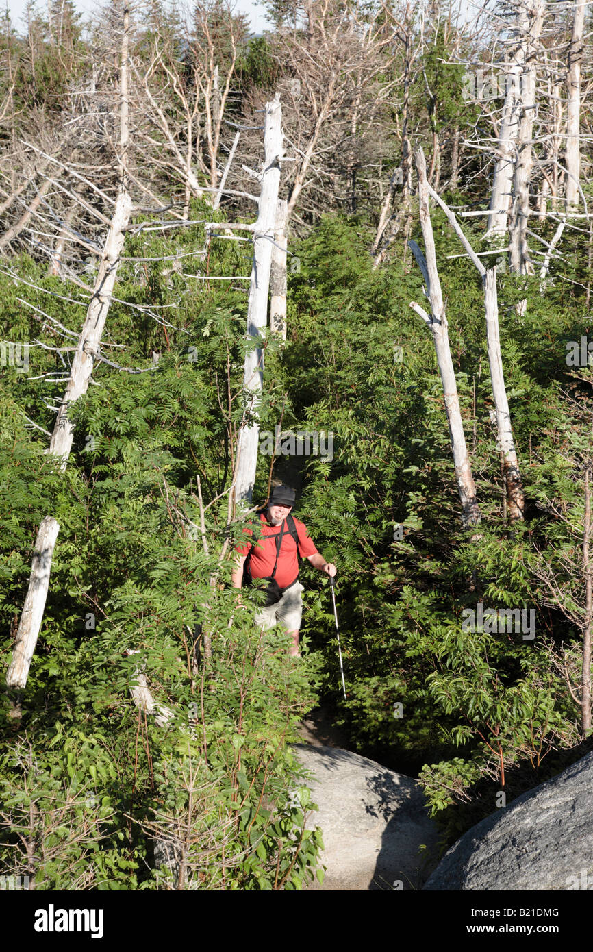 Hikers climb Caps Ridge Trail during the summer months Located in the ...
