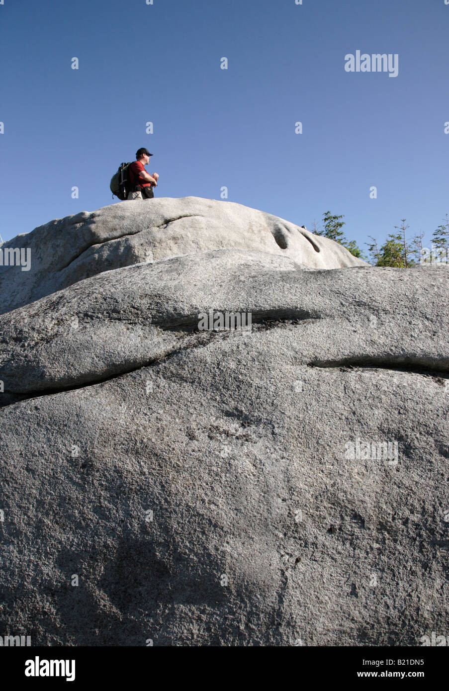 Hiker on Caps Ridge Trail during the summer months Located in the White ...