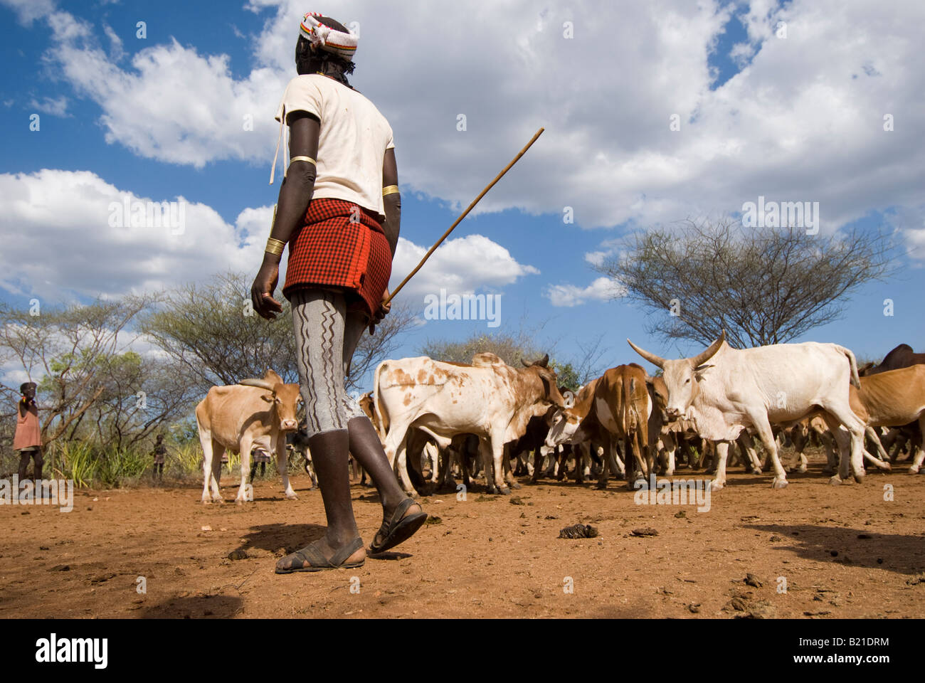 Bull jumping ceremony, Dimeka, Omo Valley, Ethiopia Stock Photo - Alamy