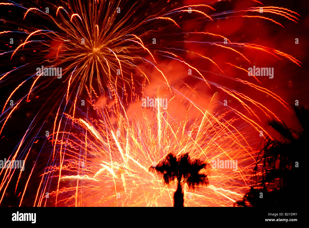 Celebration fireworks finale - with palm tree Stock Photo - Alamy