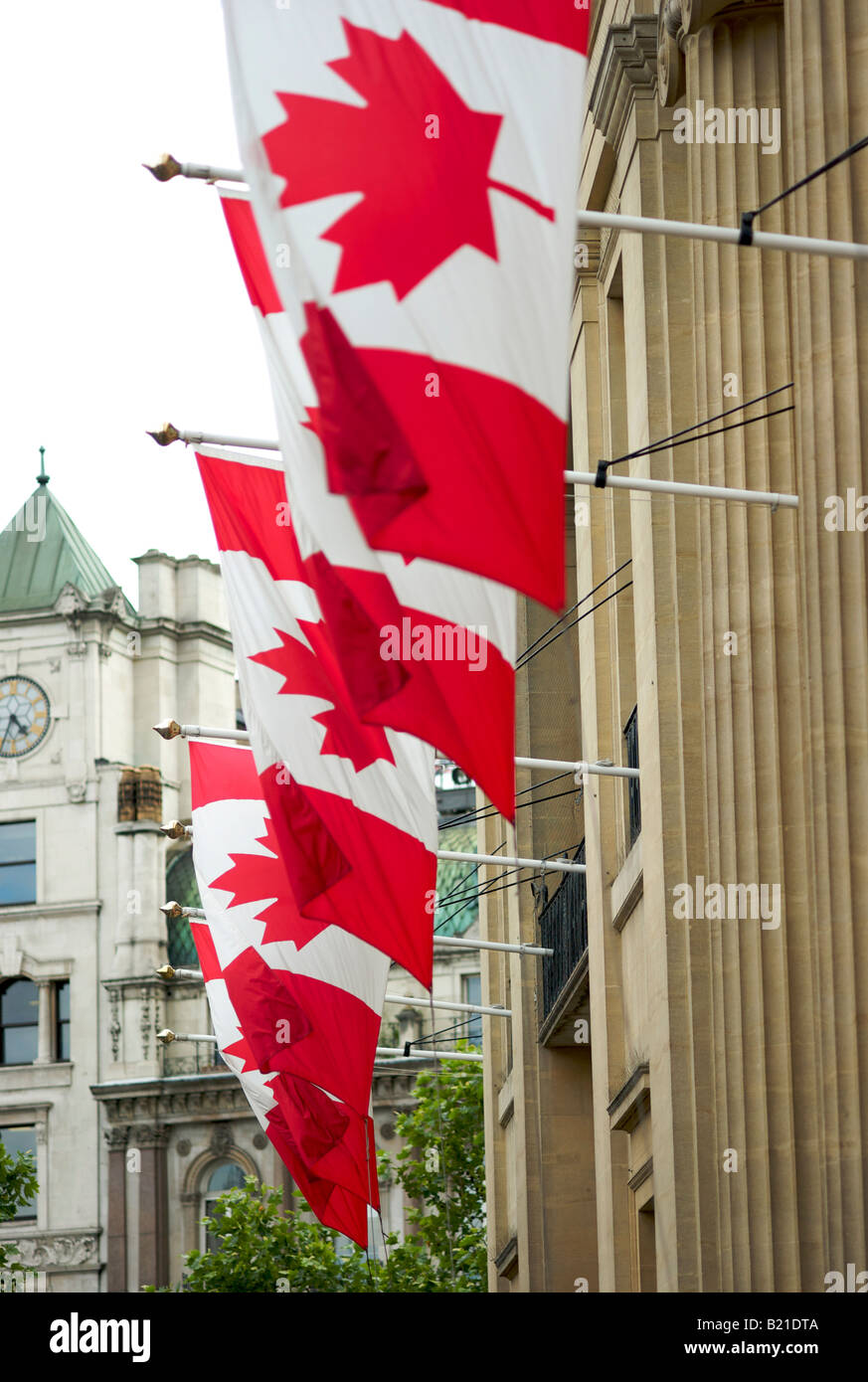 Row of Canadian national flags the Maple Leaf hanging outside Canada ...