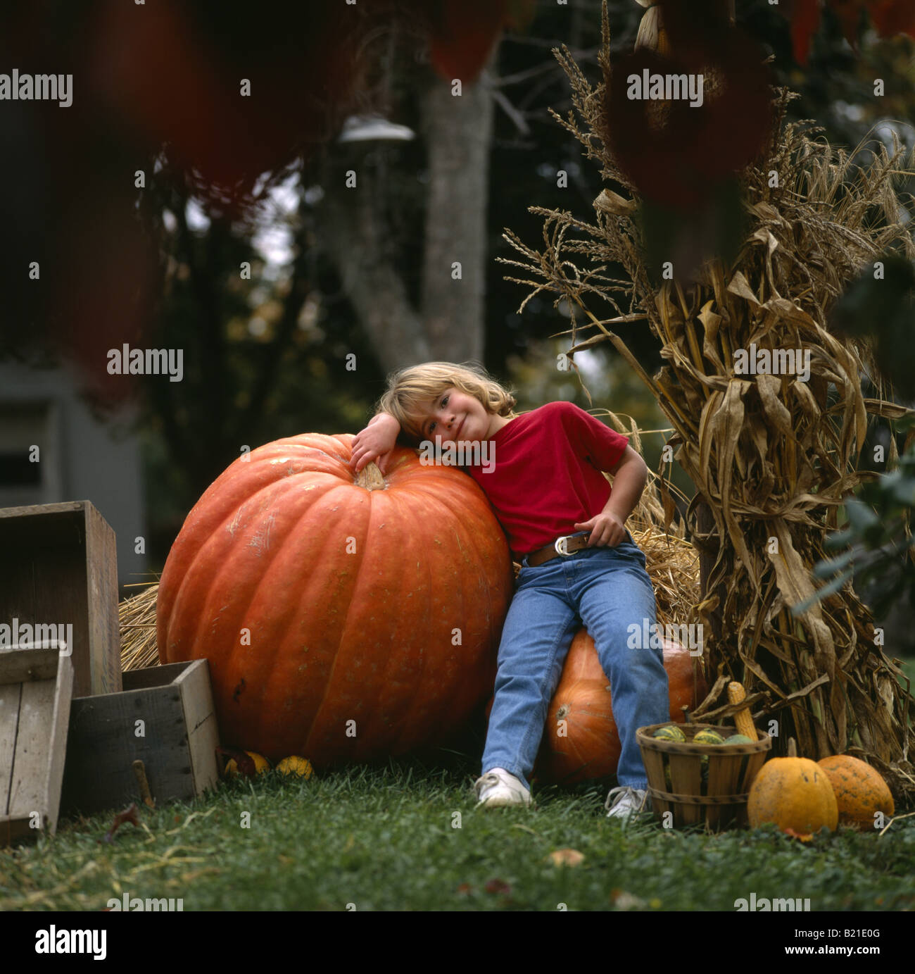 CHILD WITH PUMPKIN Stock Photo - Alamy