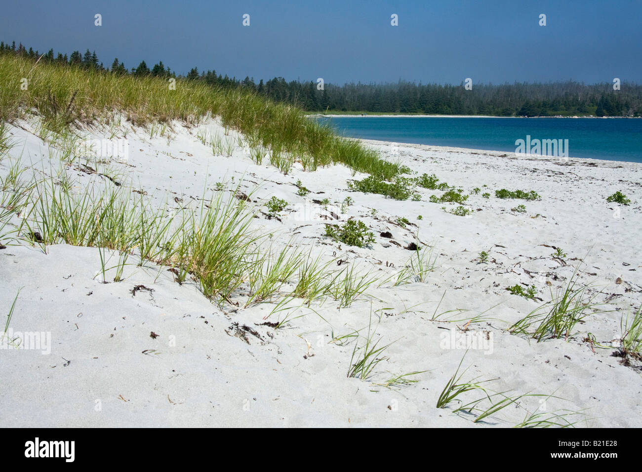 Taylor head beach nova scotia hi-res stock photography and images - Alamy
