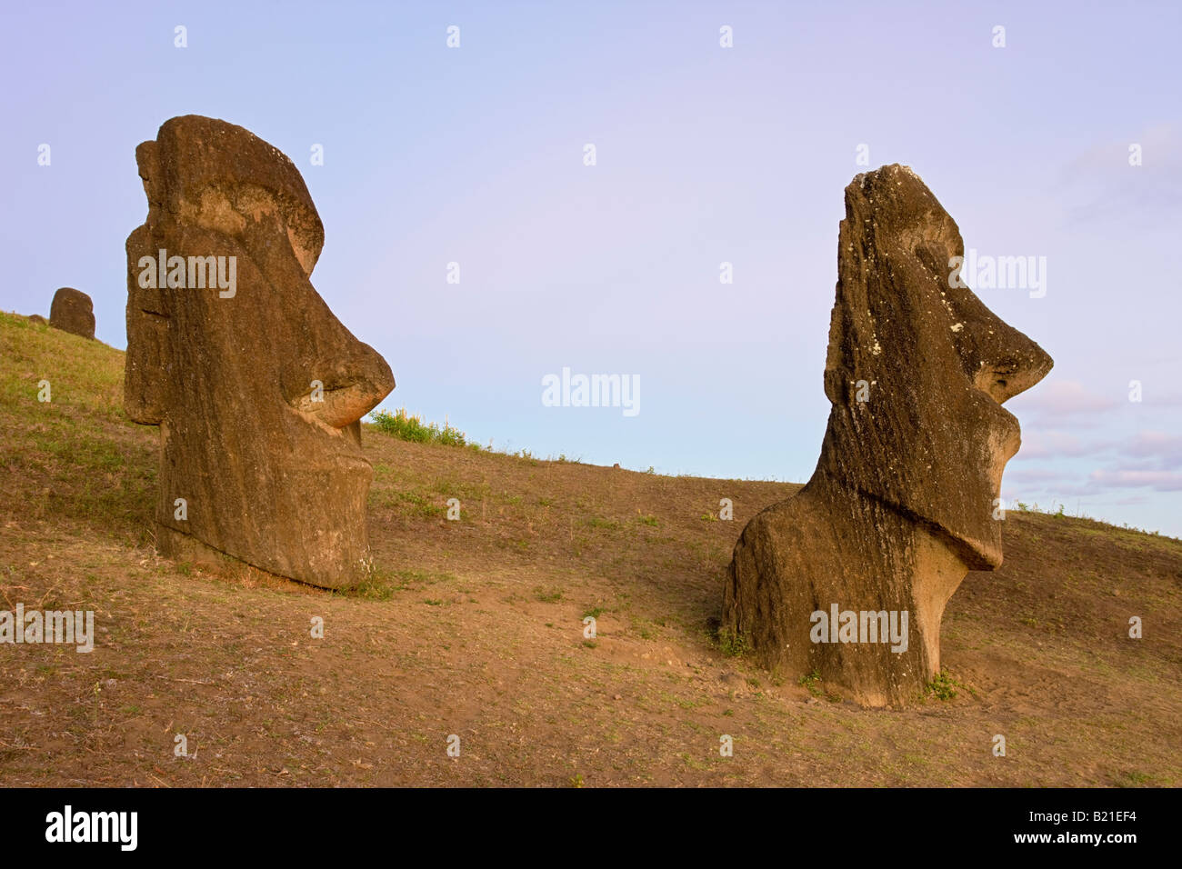 South America Chile Rapa Nui Isla de Pascua Easter Island giant ...