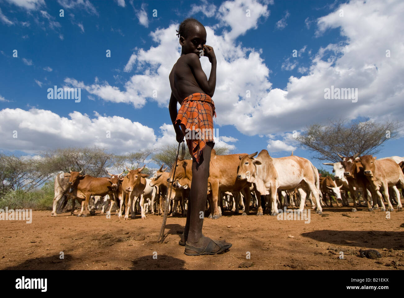 Bull jumping ceremony, Dimeka, Omo Valley, Ethiopia Stock Photo - Alamy
