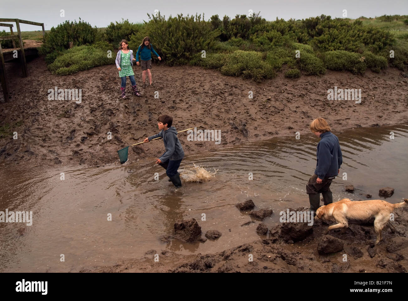 Stiffkey hi-res stock photography and images - Alamy