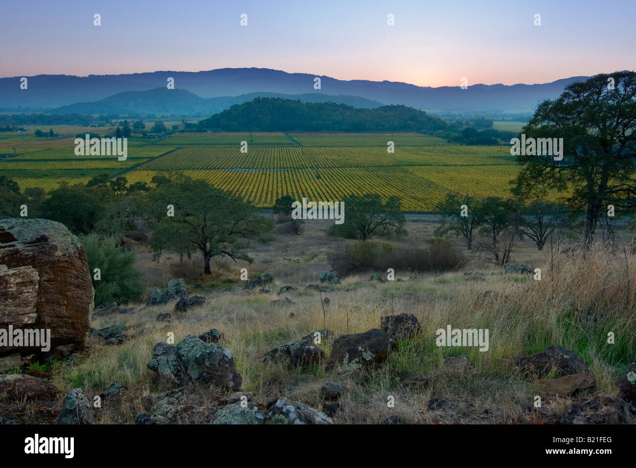 Napa valley california USA North America Stock Photo - Alamy