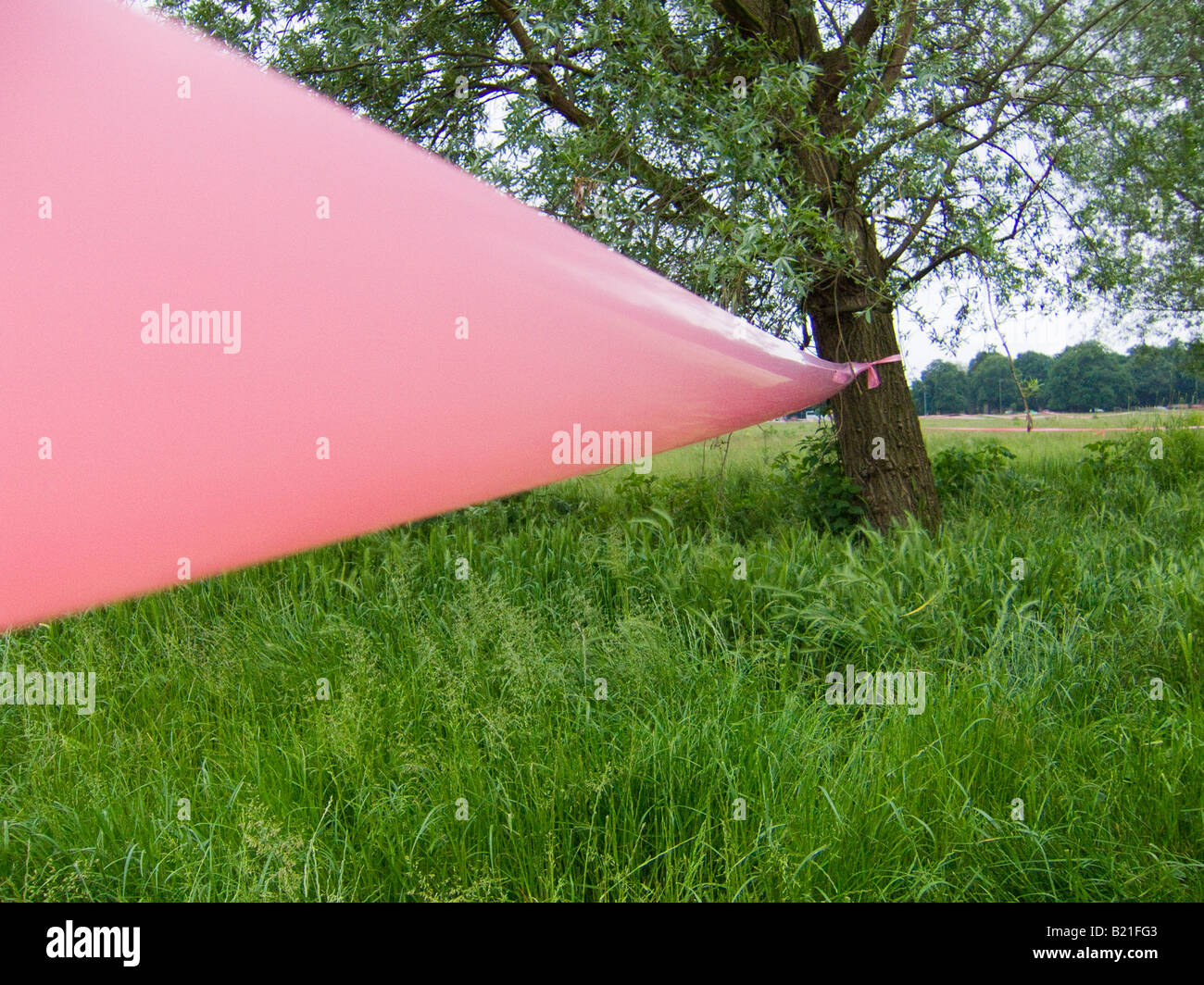 Woman tied to tree hi-res stock photography and images - Alamy