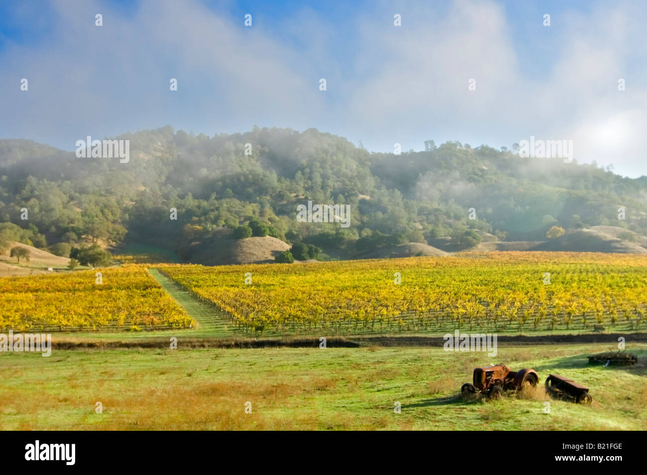 Napa valley vacations hi-res stock photography and images - Alamy
