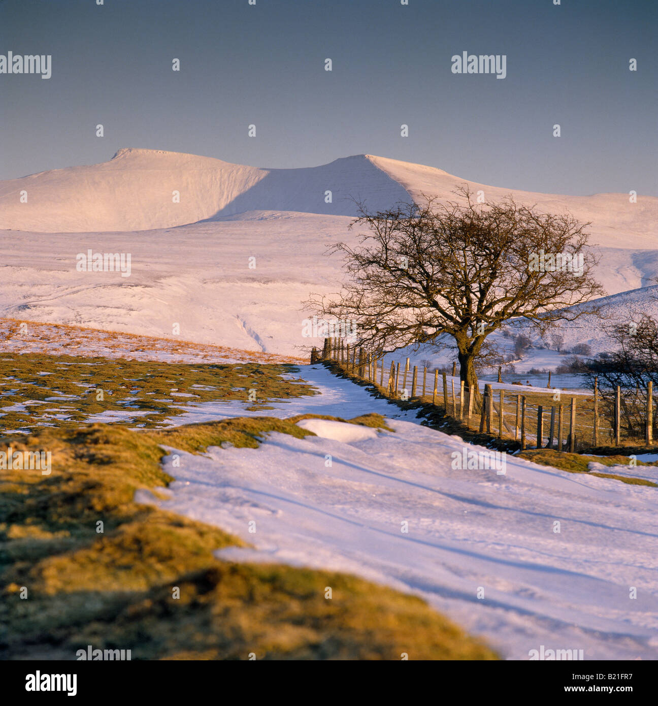 PEN Y FAN BRECON BEACONS IN SNOW Stock Photo - Alamy