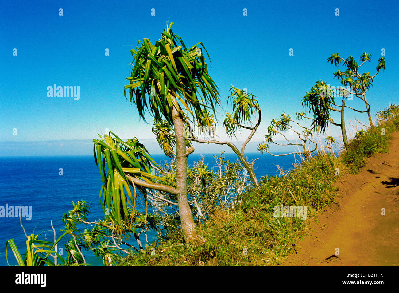 Hawaiian Island Kaui Stock Photo - Alamy
