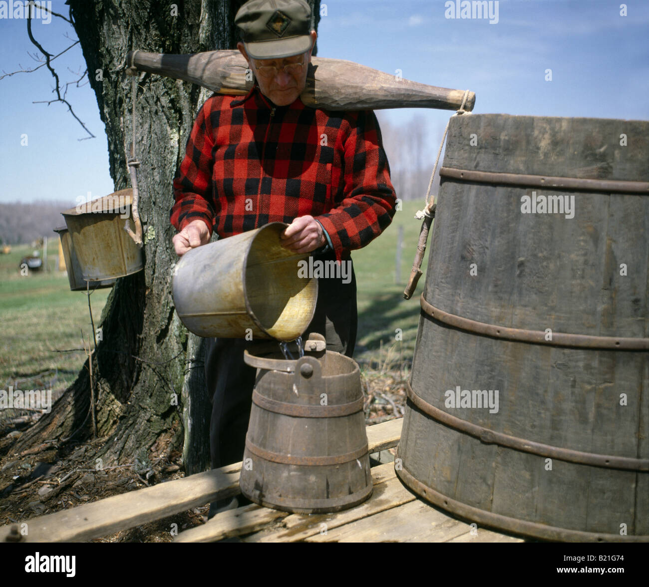 Maple Sugaring High Resolution Stock Photography and Images - Alamy