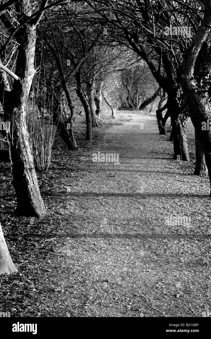 Scary pathway hi-res stock photography and images - Alamy