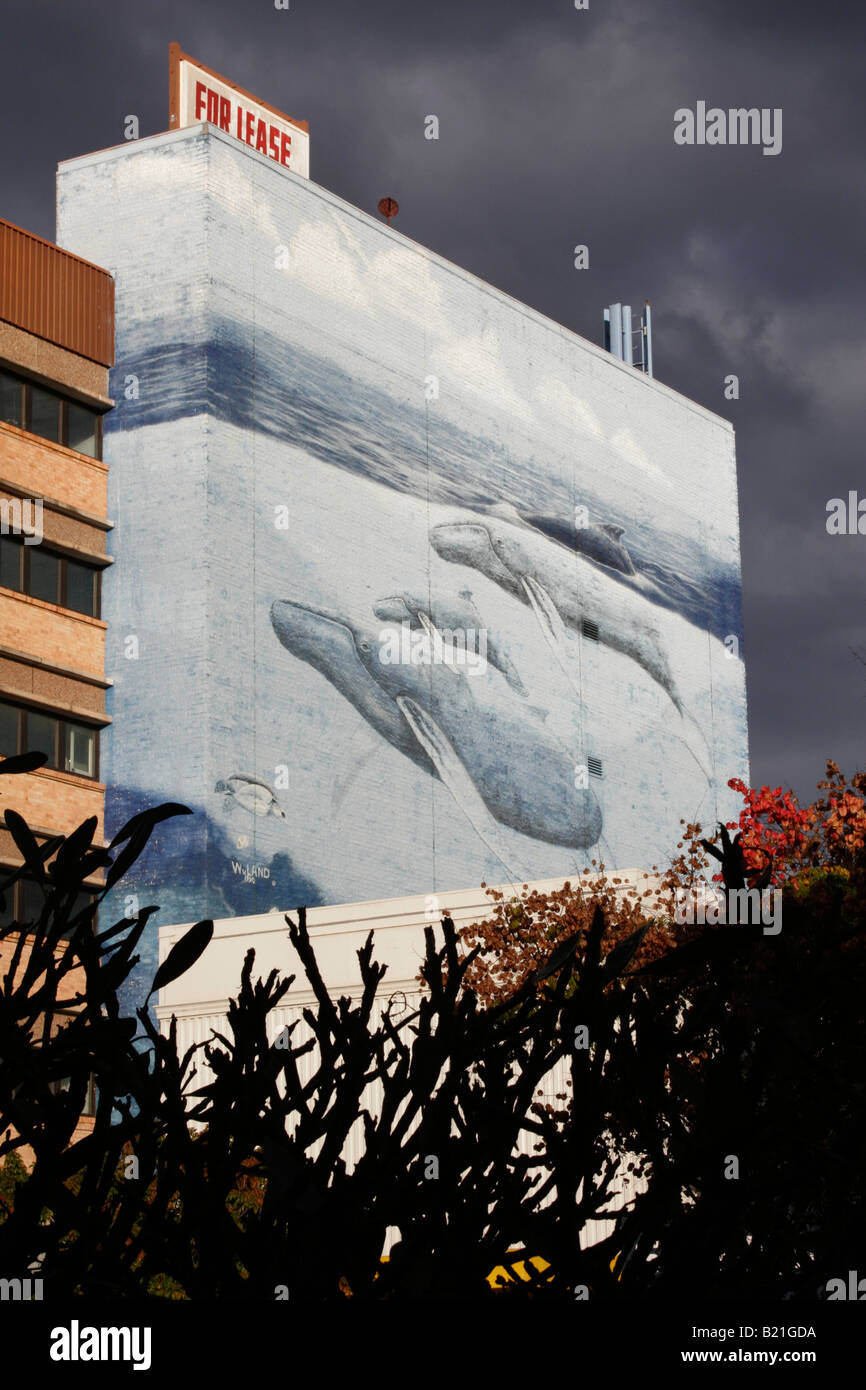 Whale mural hi-res stock photography and images - Alamy