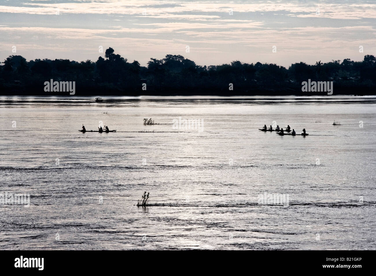 Paddling home in canoes at day's end, Mekong River, southern Laos Stock ...