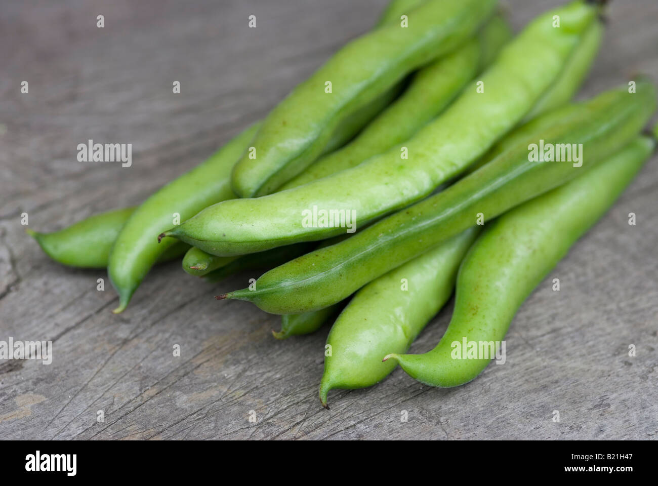 broad bean pods Stock Photo - Alamy