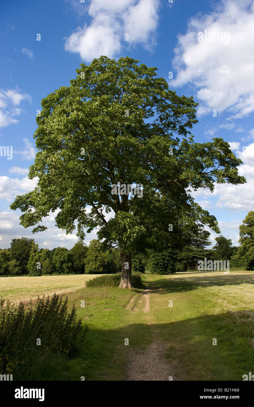 Audley rural hi-res stock photography and images - Alamy