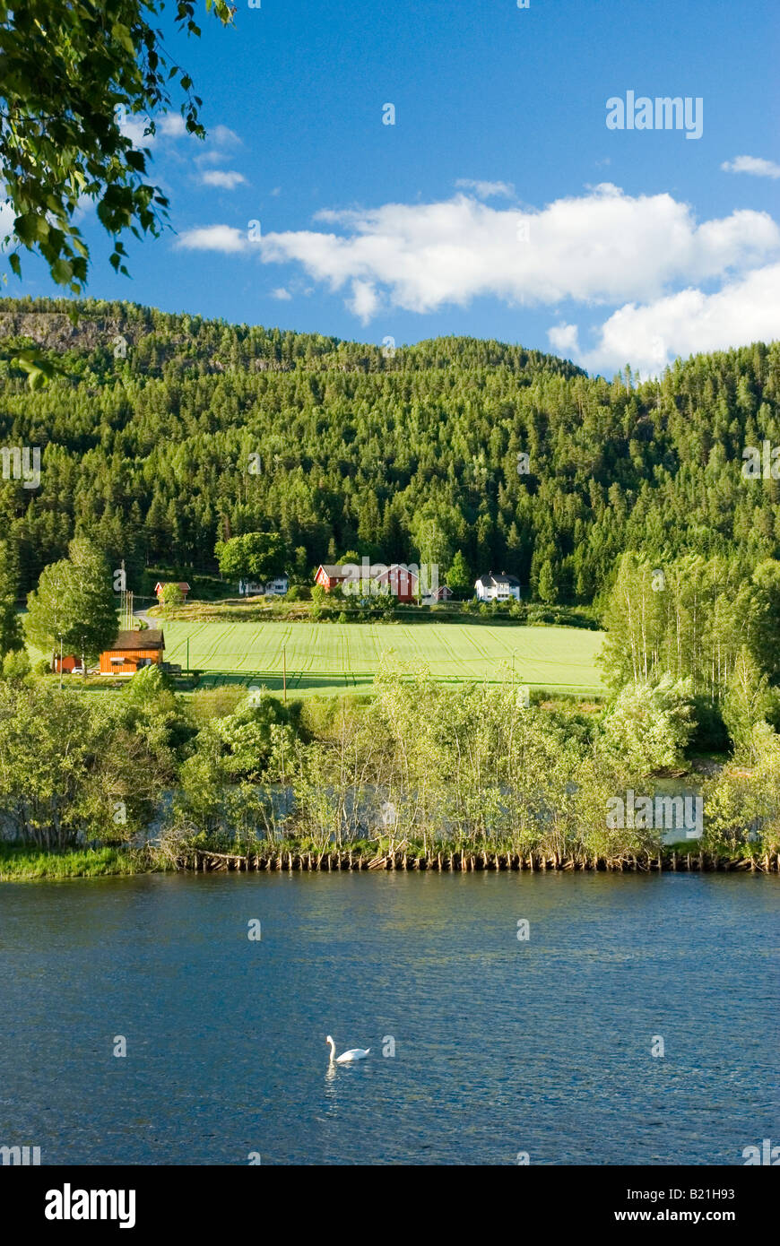 Drammenselva hi-res stock photography and images - Alamy