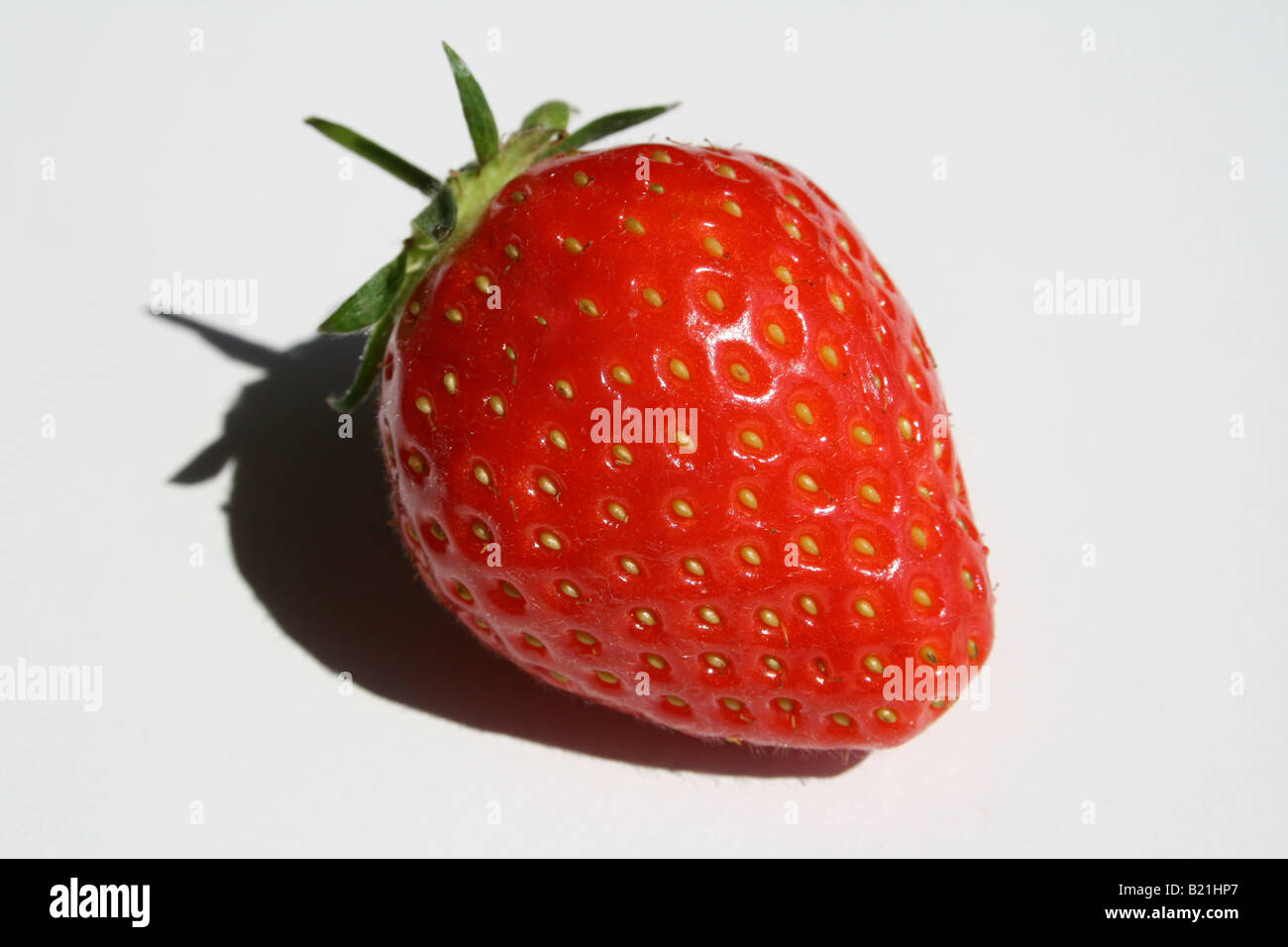 A single strawberry Stock Photo - Alamy