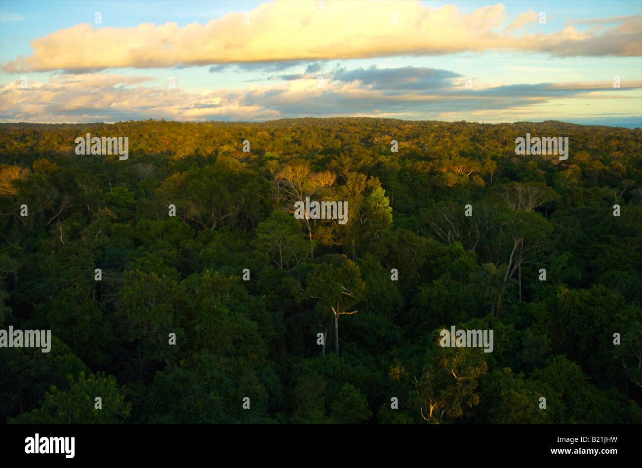 Brazil dawn amazon rainforest hi-res stock photography and images - Alamy