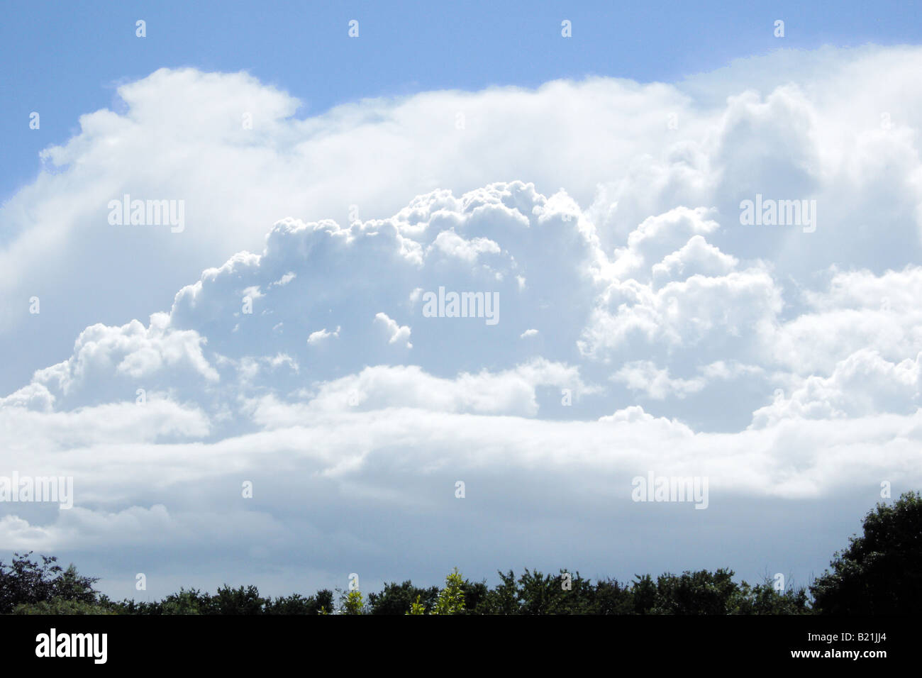 A Towering formation of Cumulus clouds Stock Photo - Alamy