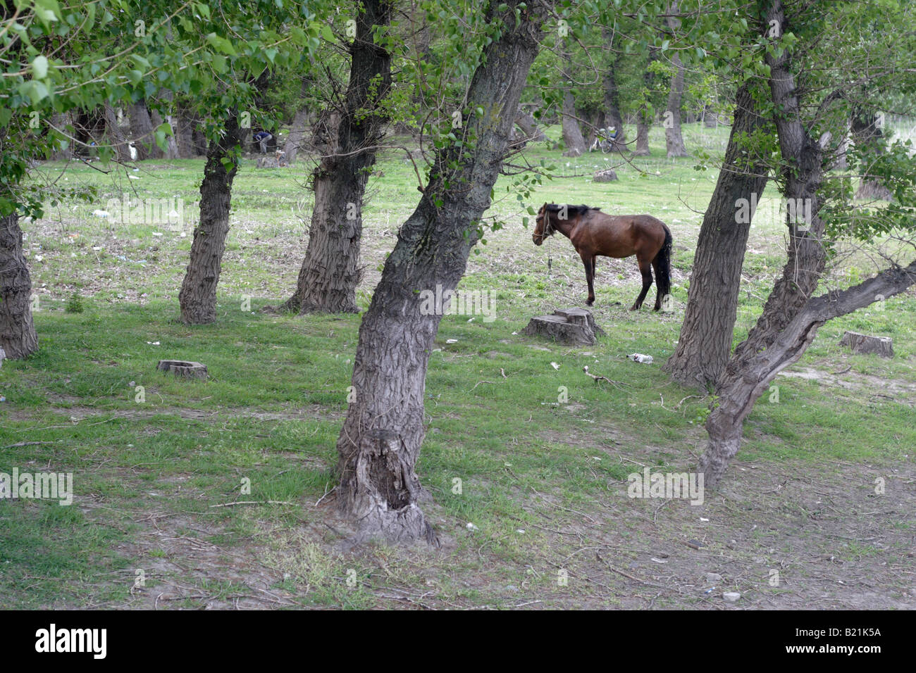 Old galati hi-res stock photography and images - Alamy