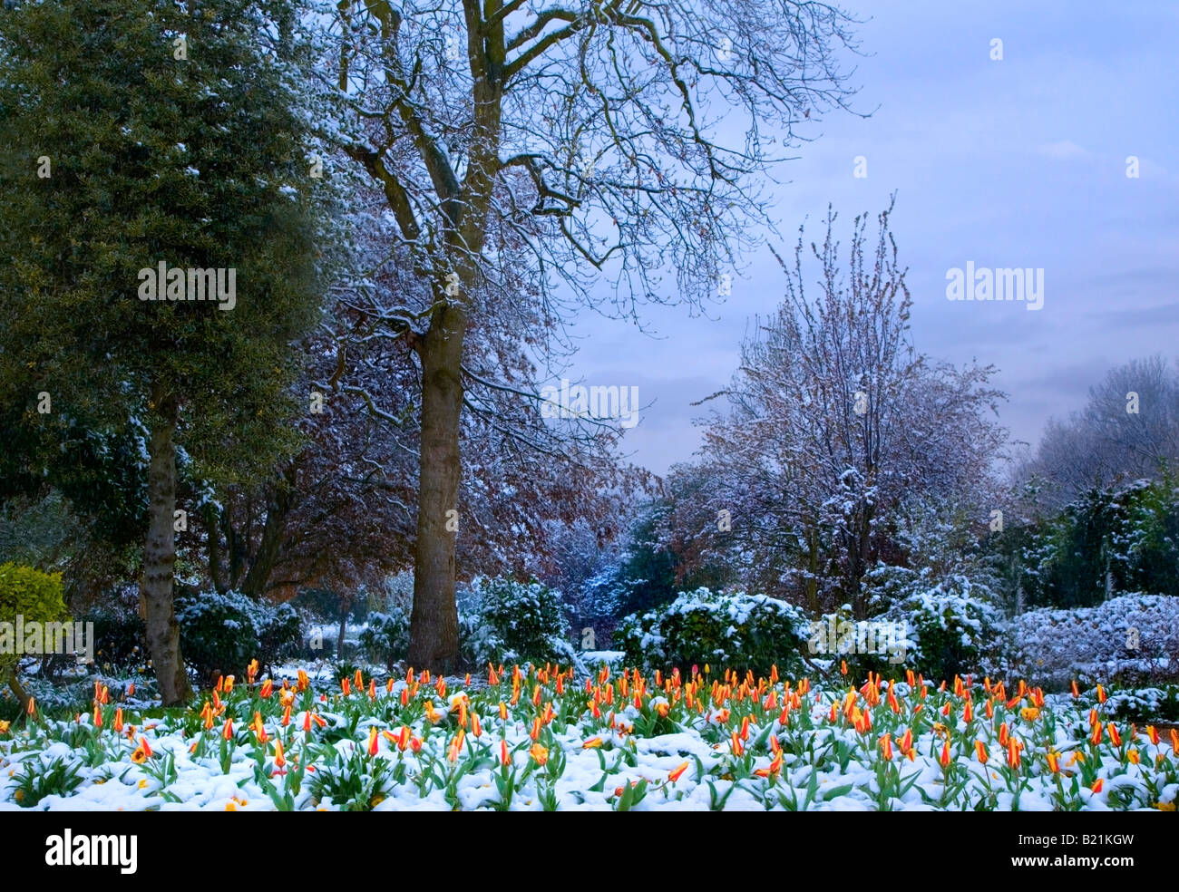 country snow scene Stock Photo - Alamy