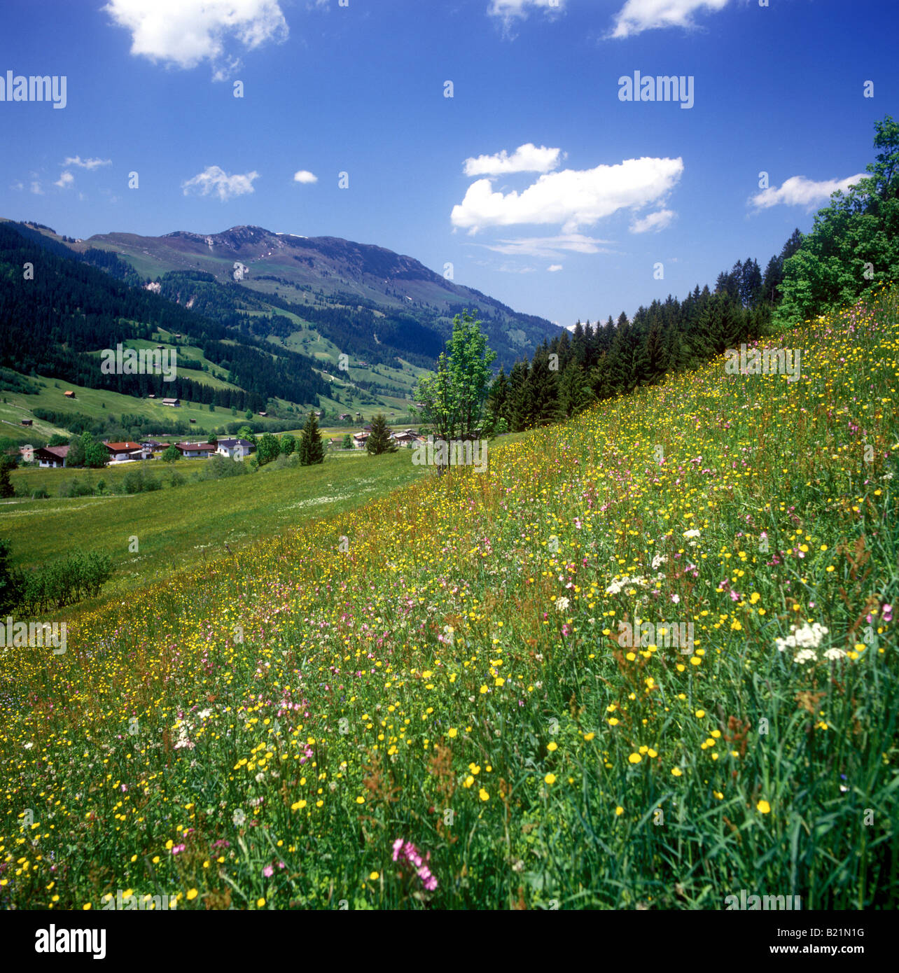 Tyrolean land hi-res stock photography and images - Alamy
