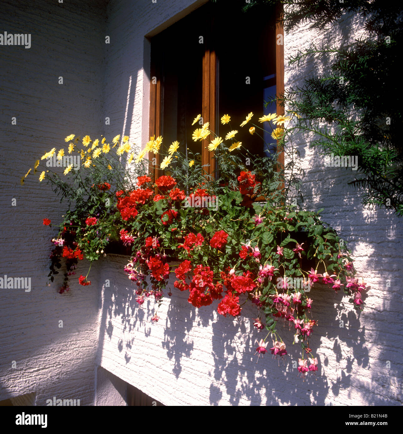 Austria Pretty window boxes in Gosau Stock Photo - Alamy