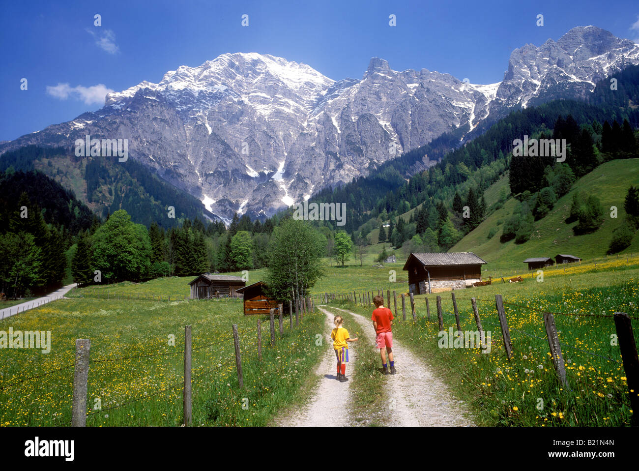 Walking through beautiful Austrian countryside near Leogang Stock Photo ...